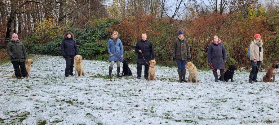 Begleithundeprüfung in Heikendorf - Labrador Club Deutschland e.V.
